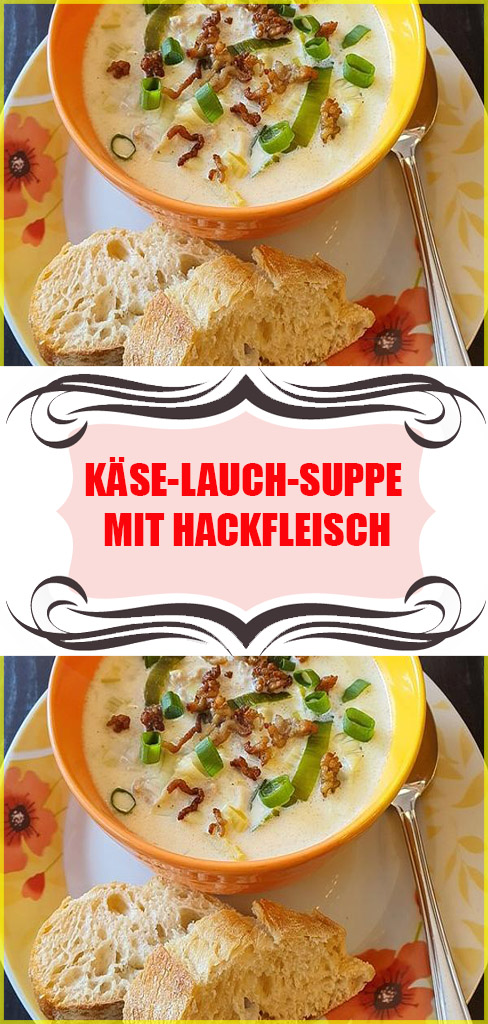Käse-Lauch-Suppe mit Hackfleisch – Schnell und Einfach